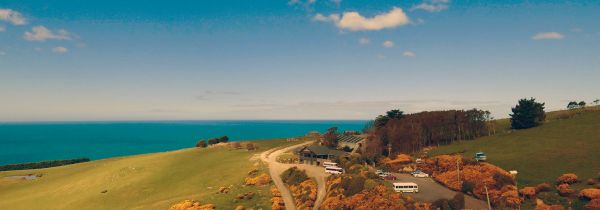 Mosgiel - New Zealand Motor Caravan Association
